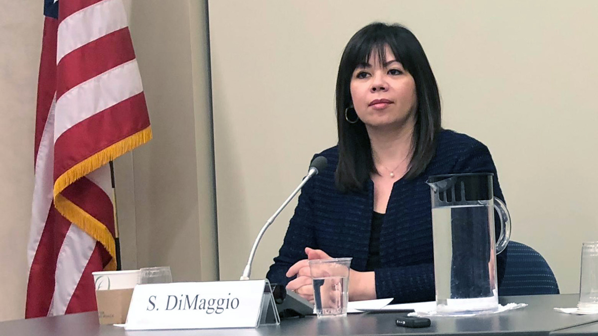 An interview with Suzanne DiMaggio